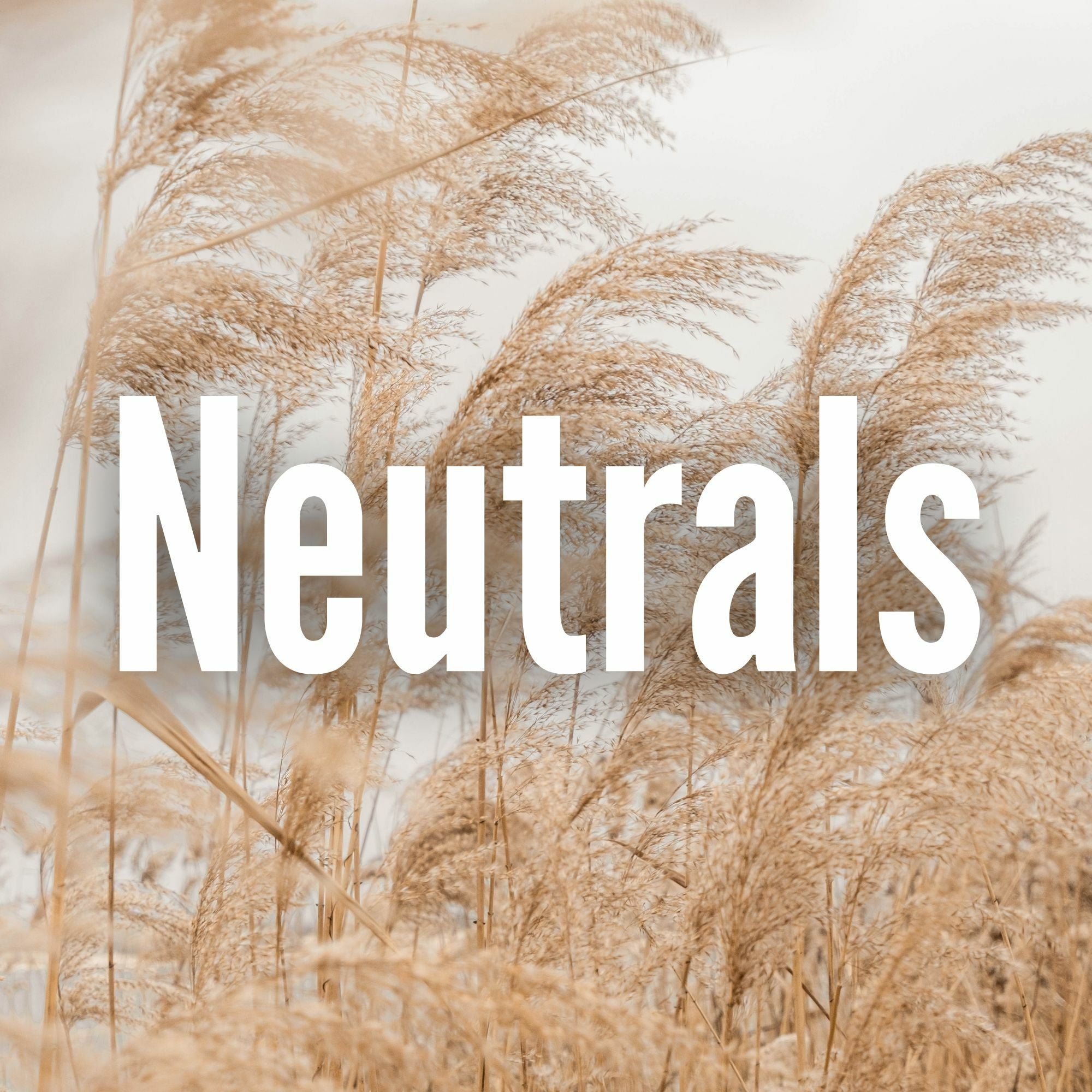 Earth Tone Hair Feathers | Natural Premium Extensions | Feather My Head ...